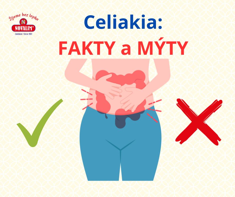 Bezlepkové potraviny, bezlepkové recepty, celiakia, PKU - Novalim